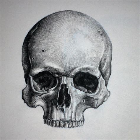 How To Draw A Skull Step By Step Realistic Armanda Mccarter