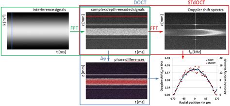 Scheme Of The Signal Processing Used In Doppler Oct Doct And Joint Download Scientific