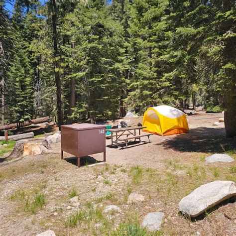 Wheeler Peak Campground Great Basin National Park Park Ranger John
