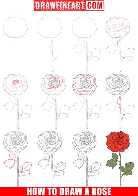 Rose Drawing Tutorial