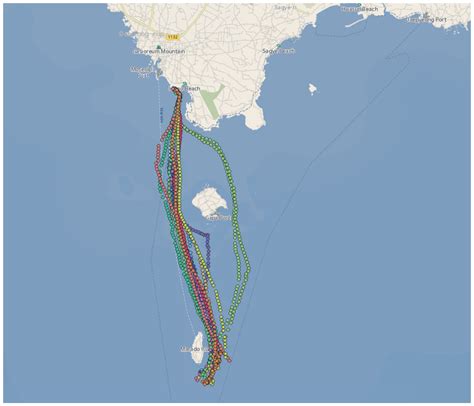 Vessel Trajectory Reconstruction Based On Functional Data Analysis Using Automatic