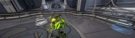 Sometimes I Feel Like A Shell Of The Man That I Once Was Rwarframe