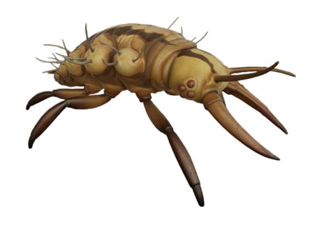 Larva Grounded Wiki