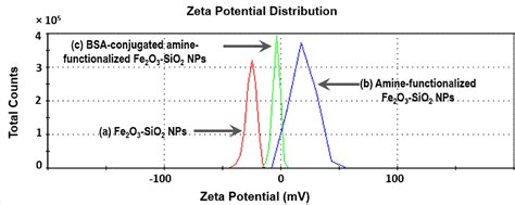 Figure 4 From Fe2o3 Sio2 Core Shell Nanoparticles Conjugated With Bovine Serum Albumin