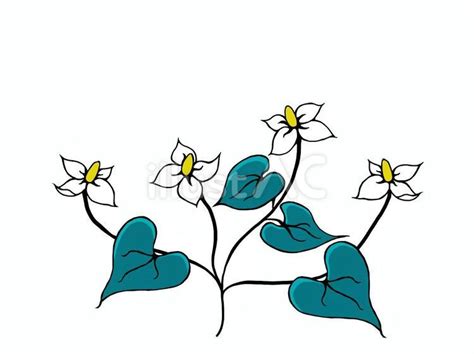 ドクダミの花イラスト No 23156257｜無料イラスト・フリー素材なら「イラストac」