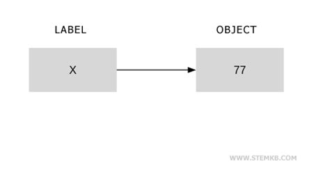 Python S Garbage Collection Stemkb