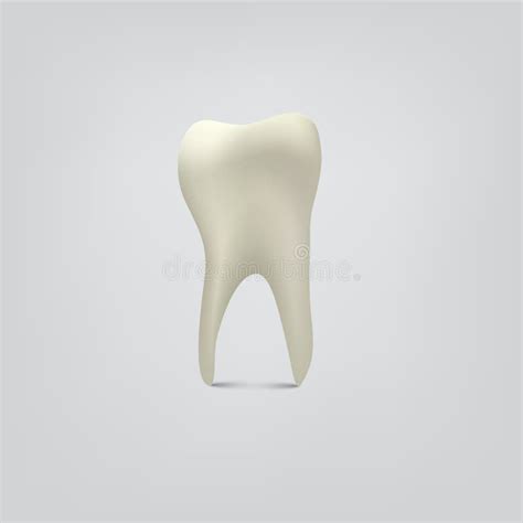 Vector Tooth On Gray Background Stock Vector Illustration Of Hygiene