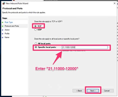 setup ftp server windows gameserverapp docs