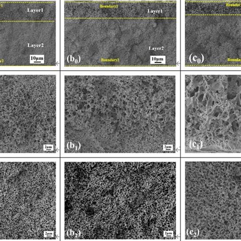 A Lsv Curves Of Peo Litfsi 15 Nbo And Peo Litfsi Electrolyte At A Download Scientific Diagram