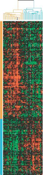 DNA Microarray Analysis Html 22 15 DNA Microarray Analysis