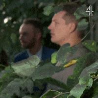 Hiding In The Bushes 