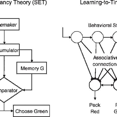 Structure Of The Scalar Expectancy Theory Set And The Download Scientific Diagram
