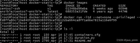 Docker持久化固定容器ip
