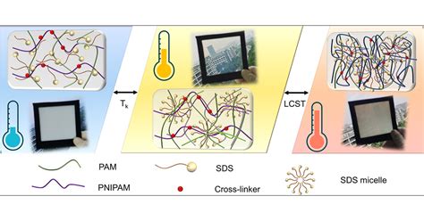 Dual Responsive Hydrogels With Three Stage Optical Modulation For Smart