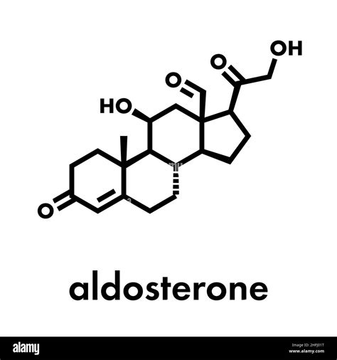 Aldosterone Mineralocorticoid Hormone Produced By The Adrenal Gland Skeletal Formula Stock