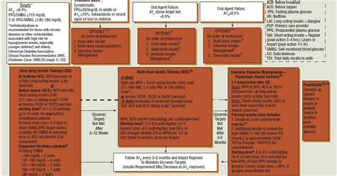 Insulin Algorithm For Type 2 Diabetes Mellitus Umaee Farmmed