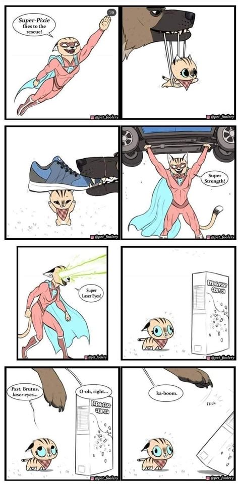 Super Pixie 😂🤣 Ranimememe