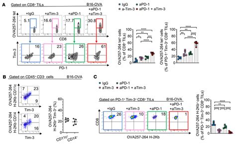 Trogocytosed Cd8 T Cells Acquire Peptide Mhc Complexes In A