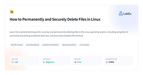 How To Permanently And Securely Delete Files In Linux Labex
