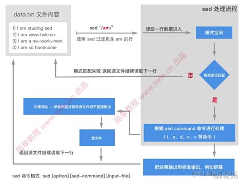 [ctfshow 单身杯]andand学习一下sed基本用法0x00 前言0x01 brain 0x01 brain em 掘金