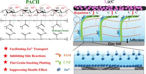 Cellulose Based Hydrogel With Fast Ion Transport Kinetics Inducing Flat Grain Stacking Plating