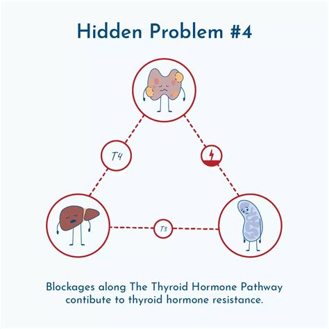 How To Interpret Thyroid Tests To Discover Hidden Thyroid Problems