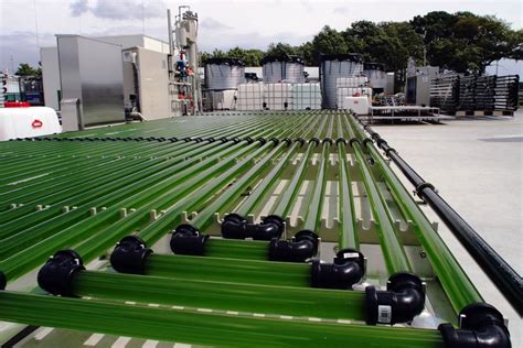 6 Horizontal Tubular Photobioreactor Microalgae Cultivation System And Download Scientific