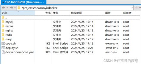 使用Docker Compose部署若依微服务项目详细教程 docker部署若依微服务 CSDN博客