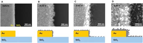 Effect Of Applied Potential On Redox Reaction Of Tellurium Ion Species