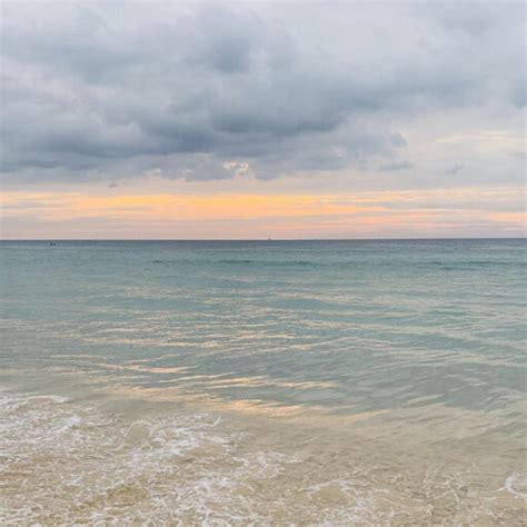 Yuting Chen Bachelor Environmental Science Research Profile