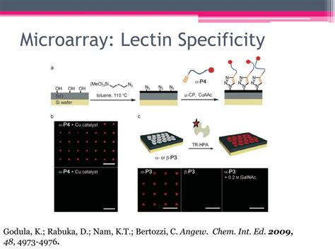Ppt Gretchen Peters April 14 2011 Powerpoint Presentation Free