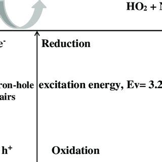 Reaction Mechanism On The TiO Surface Download Scientific Diagram