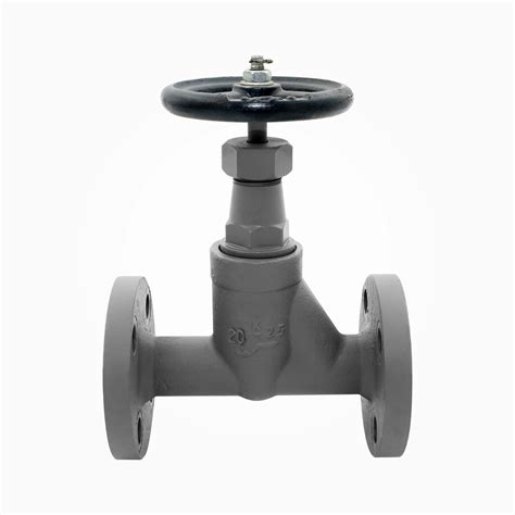 Globe Valve Straight Forged Steel Jis 20k Adamar