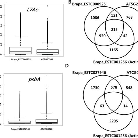 Distribution Of The Squared Pearson Correlation Coefficients Of All Of Download Scientific