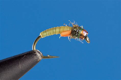 Types Of Midge Flies At Charles Bolden Blog