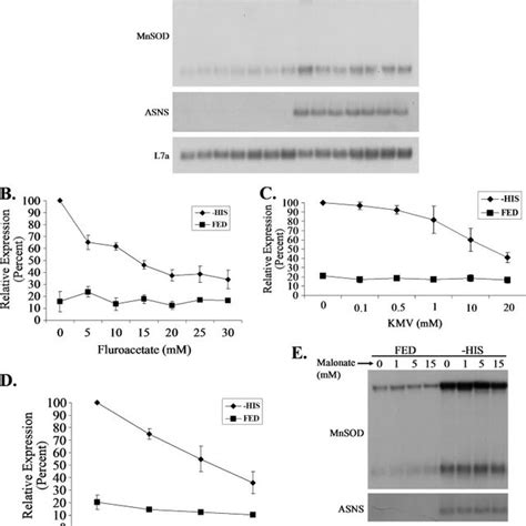 A Bar Graph Representing Cell Viability As Determined By Mtt Assay At