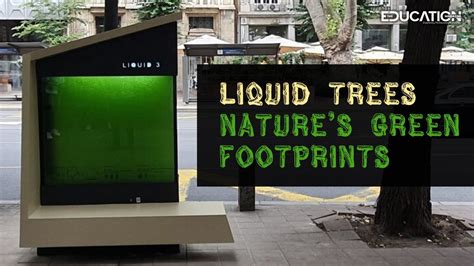 Liquid Trees Natures Green Footprints The Education Magazine