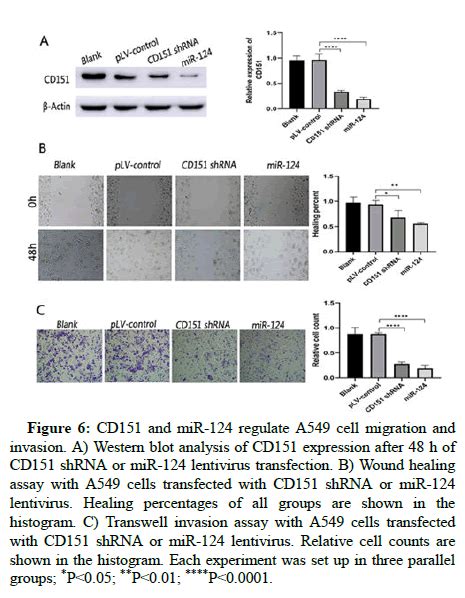 Journal Of Oncology Research And Treatment Mir 124 Could Inhibit