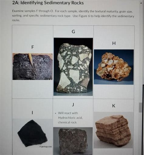 Solved Part 2 Interpreting Sedimentary Rocks And Structures