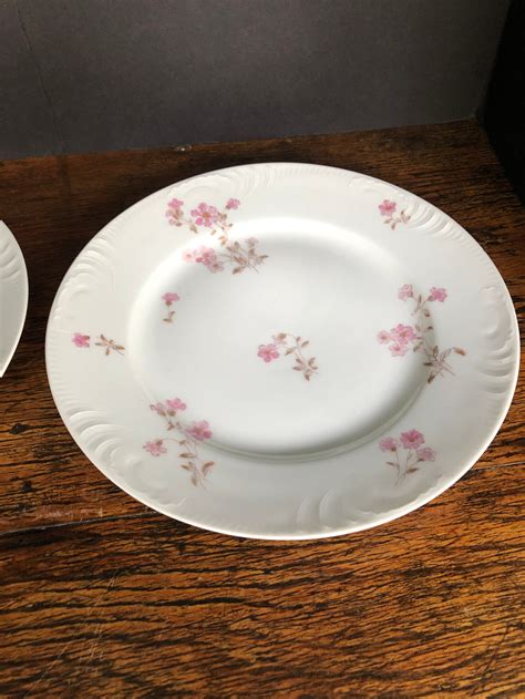 Haviland Limoges China Pink Flower Pattern Antique Discontinued