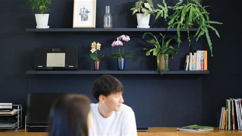 News 親しみやすい小さな胡蝶蘭の定期便で、いつでも花がある生活を。rantoの定期便 Ranto