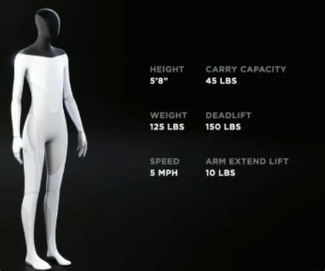 Tesla Job Listings Detail Elon Musks Vision For Thousands Of Humanoid Robots Within Our Factories