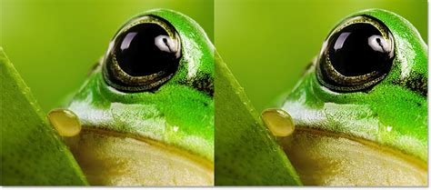 Easy Image Sharpening With Unsharp Mask In Photoshop