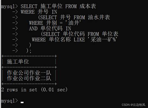 数据库原理上机实验SQL实验2详细代码 截图 ⑿ 列出有哪些施工单位实施了项目 并计算各单位所有项目结算金额总和 CSDN博客