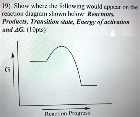 Solved 19 Show Where The Following Would Appear On The Reaction