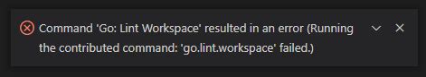 Go Lint Workspace Fails If The Previous Lint Returned No Warnings Or Errors Issue