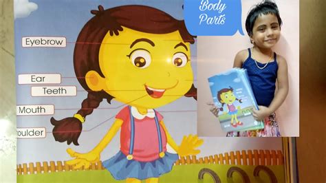 Body Parts Youtube Body Parts Youtube