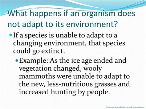 adaptation and survival of a species ppt download