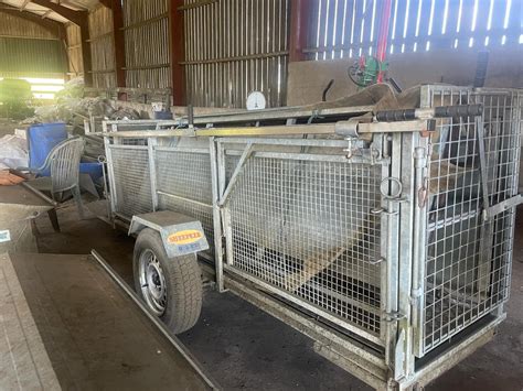 19 sheep handling system lawrie and symington