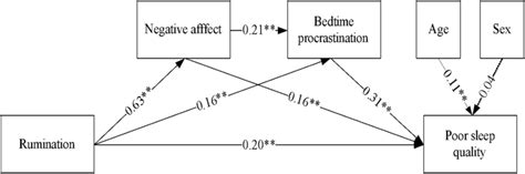 The Hypothesized Model All Path Coefficients Were Standardized The